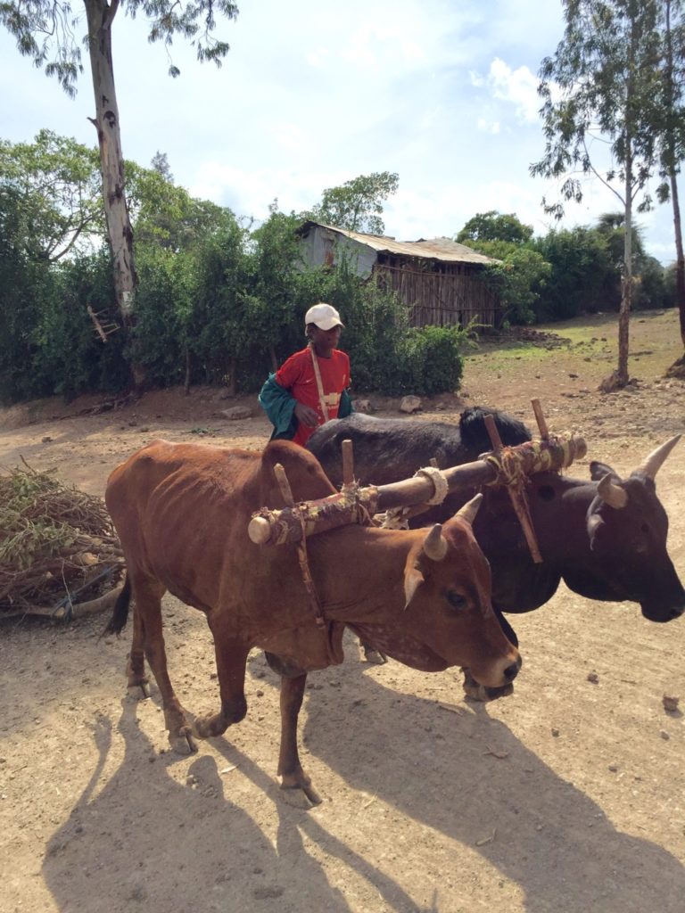 Yerer, Ethiopia – the alphabet travelogs